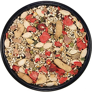SLEEK & SASSY Garden Large Hookbill No Sunflower Parrot Food for Large Conures, Amazons, African Greys, Cockatoos, Pionus-Parrots & Small Macaws (20 lbs.)