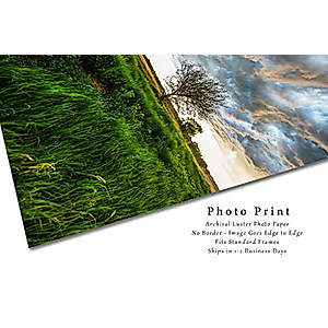 Great Plains Photography Print (Not Framed) Vertical Picture of Tree Under Stormy Sky on Spring Day in Kansas Prairie Wall Art Nature Decor (4" x 6")