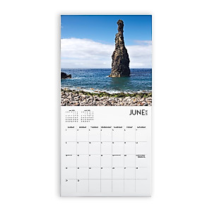 Wall Calendar 2025, 12 x 12 inch, Funny Gift, White Elephant, Gag Gift, Secret Santa… (Nature's Dicks)