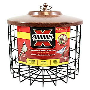 More Birds Squirrel-X Double Suet Feeder, Outdoor Wild Bird Feeder, Cage Bird Feeder, 2 Suet Cake Capacity