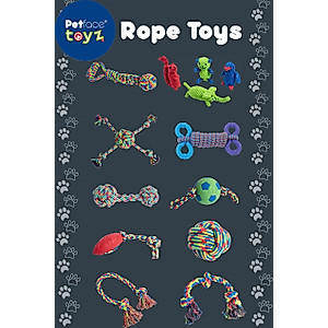 Petface Toyz Rugby Ball Dog Toy, Medium, Blue