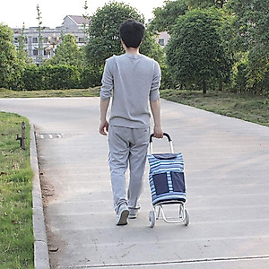 Shopping Trolley on Wheels Multi Function Shopping Cart Two-Wheel Aluminum Alloy Ultra-Light Portable Folding Cart is Practical and Convenient to Fold Storage Hand Trucks,D,87 * 35Cm ,Sho