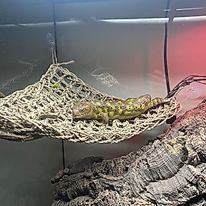 kathson Bearded Dragon Hammock,Lizard Lounger Reptile Tank Hanging Plants Climbing Jungle Vines Flexible Leaves Decorations for Lizards Chameleon Gecko Snakes(5 PCS)