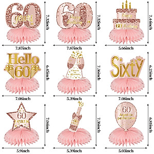 Turypaty Pink Rose Gold 60th Birthday Honeycomb Centerpieces Decorations for Women, 9Pcs Rose Gold Happy 60th Birthday Table Centerpieces Party Supplies, Sixty Year Old Birthday Table Toppers Decor