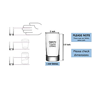 BOHEM'S Small Juice Glasses, Mini Clear Glass Cups Tumblers, Drinking Glassware for Orange Juice, Water, Milk, Coffee, Perfect for Tasting and Small Portions, Set of 6 (5 oz)