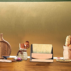 Mini Broom and Dustpan Set, Wood Hand Broom with Natural Horsehair Bristles,Whisk Broom Sand Brush