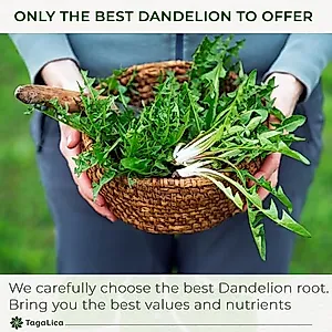 Premium 135 Dandelion Root Tea Bags, 100% Natural & Pure from Dandelion Root, Eco-Conscious Tea Bags, Dandelion Tea, Dandelion Root Herbal Tea. Dandelion Root Tea. No Sugar, No Caffeine, No Gluten, Vegan