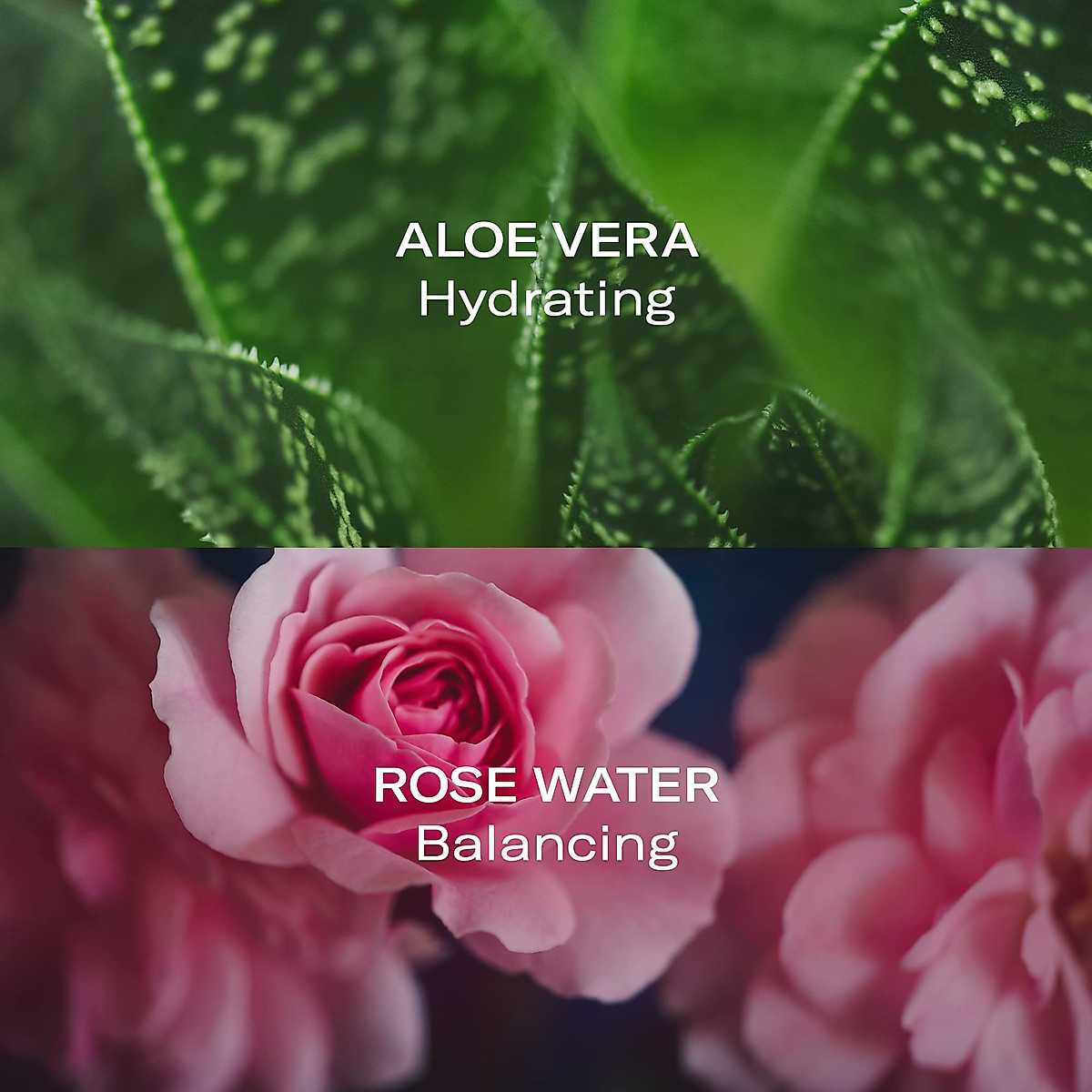 Odacité | Rose + Neroli Hydra-Vitalizing Treatment Mist | Quickly Hydrates and Balances Skin | 1.69 oz