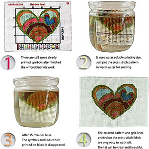 Dimensean Stamped Cross Stitch Kits Full Range of Embroidery Patterns Starter Kits for Beginners Adult or Kids DIY Cross Stitches Needlepoint Kits 11CT-Park Scenery 15.7x21.3 inch