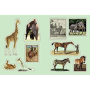 Cabinet of Curiosities: Over 1,000 Curated Stickers from the Fascinating Collections of the Smithsonian