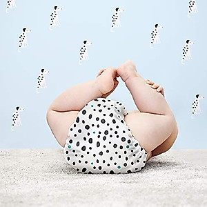 Bambino Mio, Miosolo Classic Cloth Diaper Set