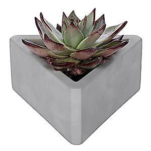 MyGift Unglazed Gray Cement Planter Pot with Drainage Hole and Plastic Plug, Indoor Mini Triangle Shaped Cactus Succulent Planter Poter