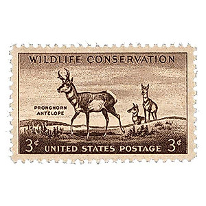 Mailbox Notecards: 20 postcards featuring stamps from the Smithsonian's National Postal Museum (Novelty Mailbox Stationery Card Set, Snail Mail Lover Gift)