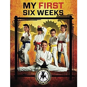 Zeus International Martial Arts Academy My First Six Weeks