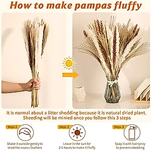 Dolicer 80 Pcs Dried Pampas Grass, 17'' Pampas Grass Decor, Natural Pampas Boho Flowers Bouquet White Pampas Grass Brown Pampas Reed Pampas Bunny Tail Boho Decor for Home Wedding Farmhouse