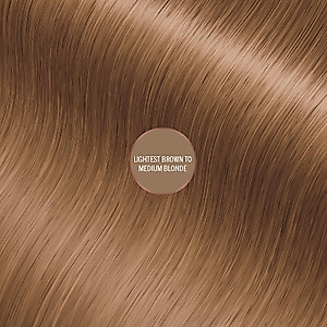 EVERPRO Gray Away Root Touchup Quik Stk Lightest Brown/Medium Blonde 0.10oz