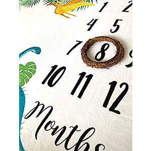Baby Monthly Milestone Blanket | Includes Frame for The Numbers and Bonus Product | 1 to 12 Months | Premium Extra Soft Fleece | Best Photography Backdrop Prop for Newborn Boy & Girl