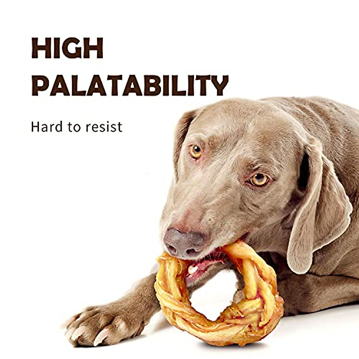 Afreschi Turkey Tendon Dog Treats for Signature Series, All Natural Human Grade Puppy Chew, Ingredient Sourced from USA, Hypoallergenic, Easy to Digest, Rawhide Alternative, 4 Units/Pack Ring (Small)