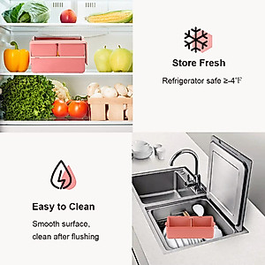 NatraProw Bento Box Adult Lunch Box, All-in-One Lunch Containers with Removable Compartments, 2 Layers Stackable Bento Lunch Box Leak Proof, Microwave Safe