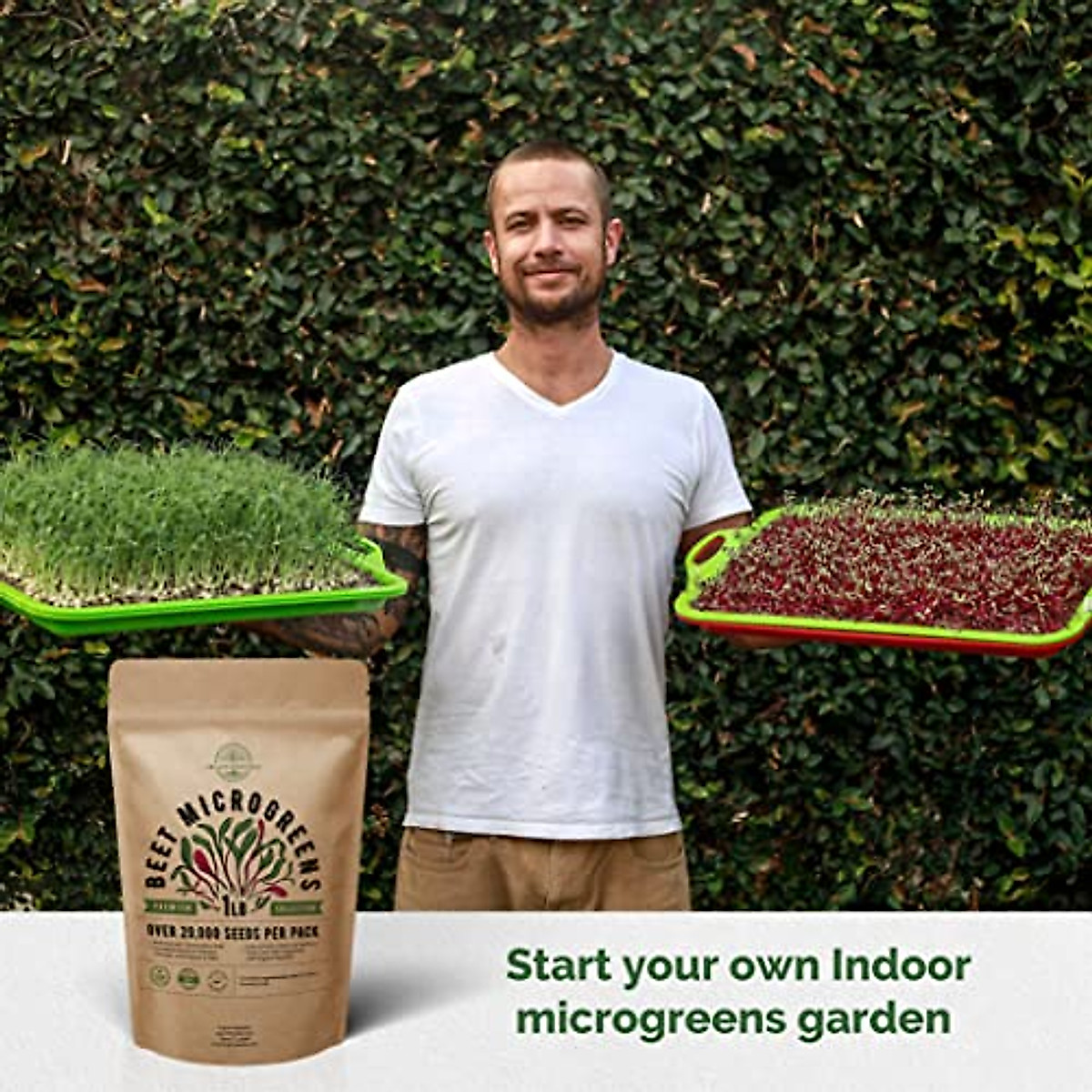 Beet Sprouting & Microgreens Seeds - Non-GMO, Heirloom Sprout Seeds Kit in Bulk 1lb Resealable Bag for Planting & Growing Microgreens in Soil, Coconut Coir, Garden, Aerogarden & Hydroponic System.