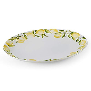 Mikasa Lemons Oval Serving Platter, 14-Inch, Multicolor