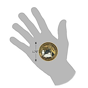 Pastors Coin, Pastor Appreciation Gift for Men and Women, Preacher Gifts, Humble Servant Token for Ministers, for Pastors Wife, Bishops, and Priests, Christian Religious Prayer Token