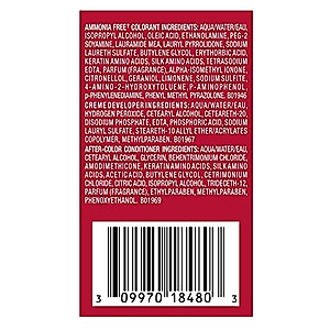 Revlon Colorsilk #48 Burgundy (2 Pack)