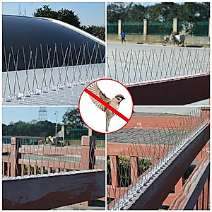 Cabilock Bird Spikes Stainless Steel Bird Blinder Bird Repellent Deterrent Spikes for Pigeons Birds