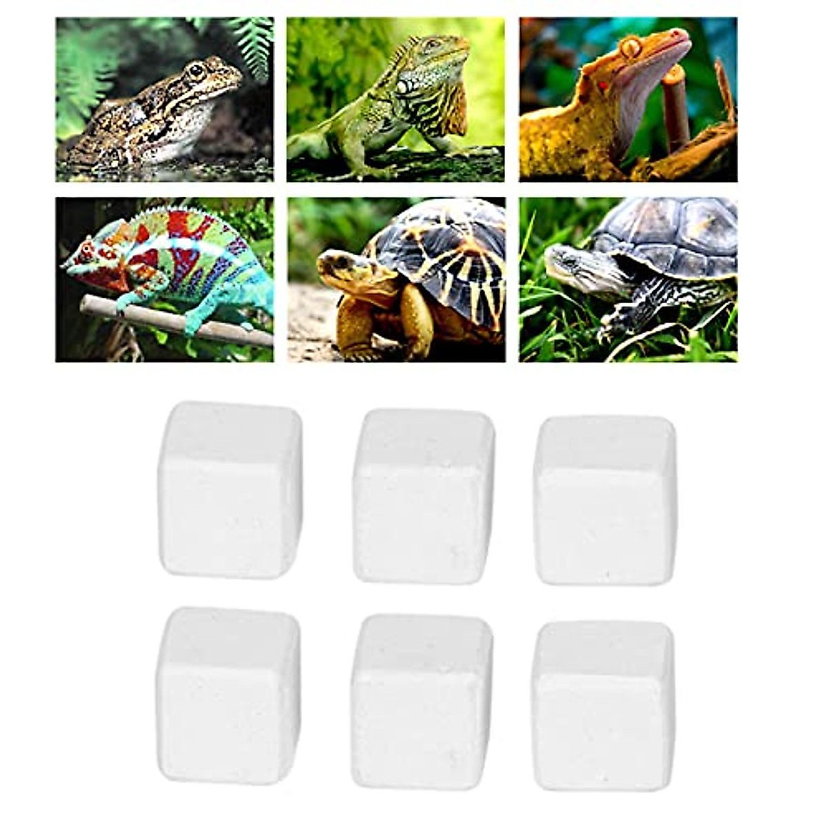 Entatial Aquarium Calcium Stone, Can Be Placed Directly in The Breeding Environment Calcium for Snails for Reptiles for Terrestrial Animals for Daily for Turtles