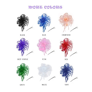 Century Star Kentucky Derby Hats for Women 2023 Fascinator Tea Party Hats Flower Mesh Ribbons Feathers Flapper Headband Hair Clips Black One Size