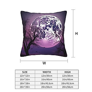 VTCTOASY Purple Moon Night Sky Print Throw Pillow Covers Fashion Throw Pillow Case Soft Couch Pillows Decorative Square Pillow Covers for Sofa Living Room 16"x16"