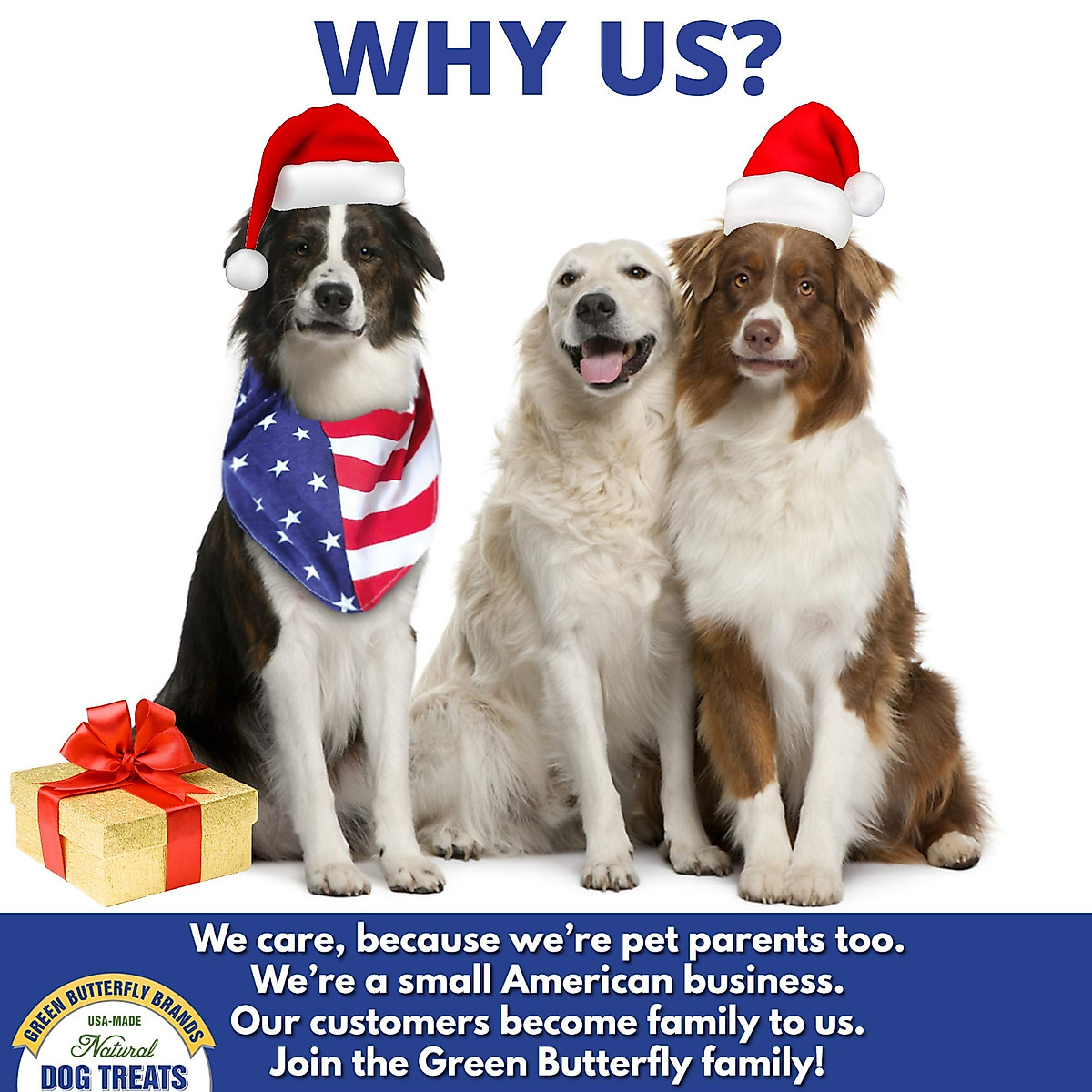 Green Butterfly Brands Dog Chews – Beef Trachea Dog Treat Chew Made in USA. Grass Fed Farm-Raised American Beef. Glucosamine Rich for Healthy Joints. All Natural Dental Chew (3" 4 PCS)