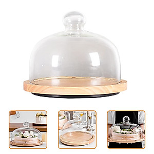 1pc Cake Tray Dessert Display Stand Cake Serving Plate with lid Party Treat Stand Glass Cake Dome Appetizer Serving Tray Cake Storage Tray Wood Vegetable Dinner Plate to Rotate