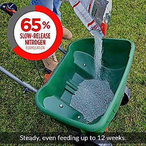 GreenView Fairway Formula Spring Fertilizer Weed & Feed + Crabgrass Preventer - 18 lb. - Covers 5,000 sq. ft.