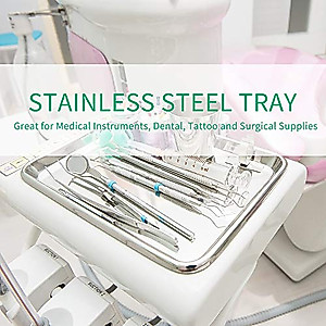 2 Pack Stainless Steel Tray Non Toxic Heavy Duty Thickening Pan for Kitchen Baking, Lab Instrument, Dental, Medical Surgical Instrument, Pet Treatment, Jewelry Tools（Medium