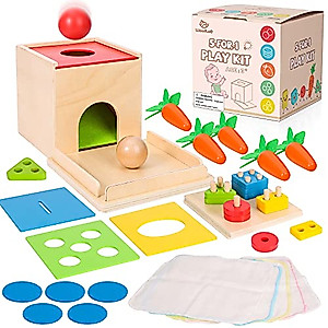 Woodtoe Montessori Toys for Babies 3 Year Old, Wooden Educational Toy, 5 in 1 Play Kit Set with Object Permanence Box, Baby Tissue Box, Carrot Harvest, Coin Box, Toddler Early Development Toy for Baby