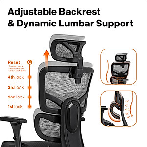 Wellnewlife Prestige Ergonomic Office Chair Adjustable Lumbar Support and Seat Depth, Mesh Office Chair with 4D Adjustable Armrest, Adjustable Headrest and Wheels, High Back Home Office Desk Chairs