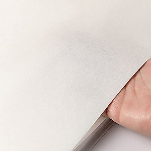 100PCS Bird Cage Liner Papers,11×20in Disposable Bamboo Charcoal Fibre Cage Paper Liners Precut Absorbent Cushion Pad Mat Accessories for Pet Bird Parrot