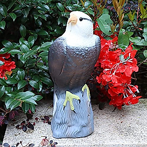 Hausse Bird Scarecrow Fake Horned Hawk Decoy, Bald Eagle Bird Repellent Garden Protectors, Falcon Scare Birds Away Deterrent Scarecrow for Garden Yard Outdoor