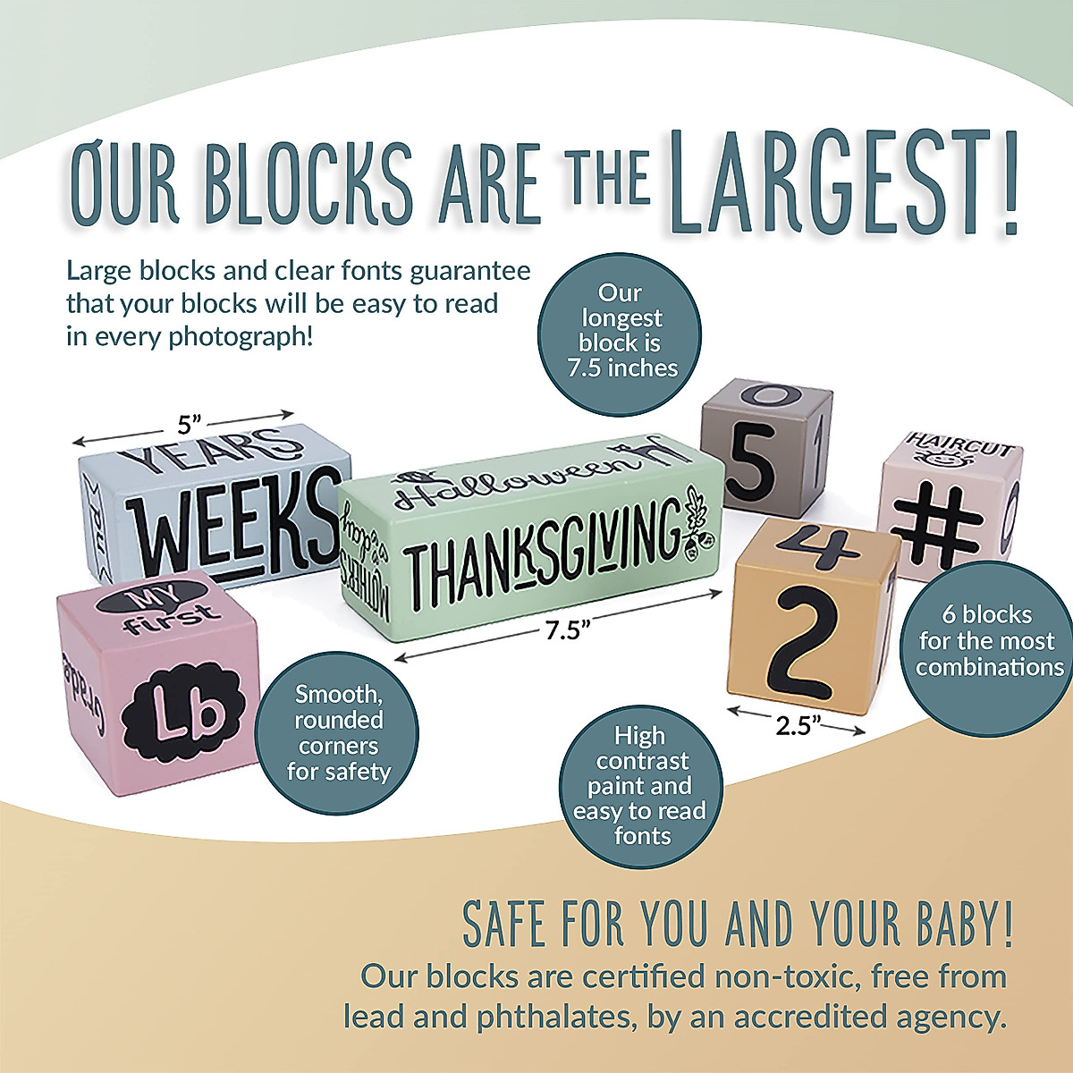 Dog & Fiddle Baby Milestone Blocks & Baby Shower Gifts. Baby Girl Baby Month Milestone Baby Girl Shower Gift Milestone Blocks for Baby boy Baby Age Milestone Blocks Baby Months Photo Prop