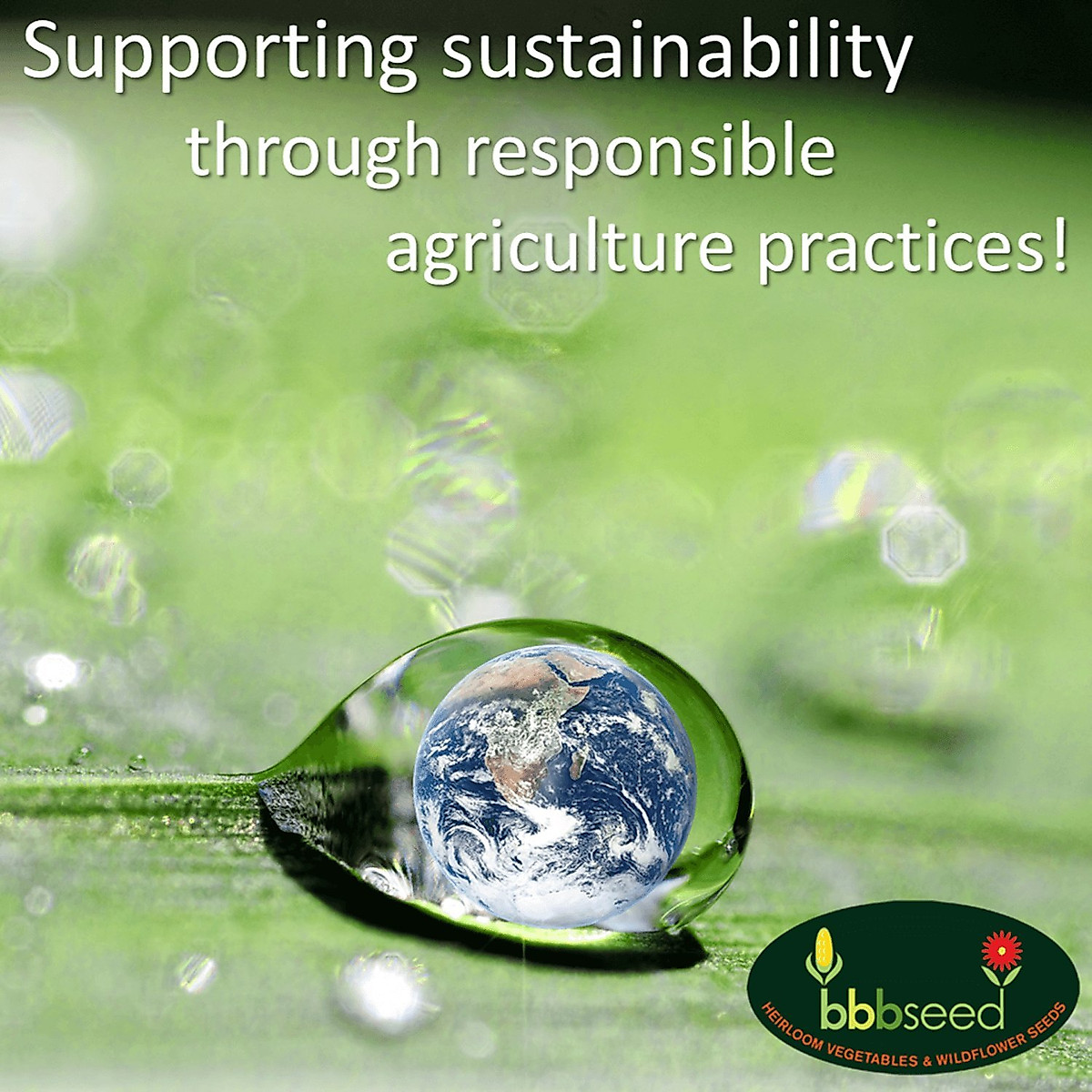 Sunflower Wildflower Seeds Mix - 1oz, Open-Pollinated Wildflower Seed Mix Packets, Non-GMO, No Fillers, Annual Sunflower Seeds, Summer Planting - 1 oz