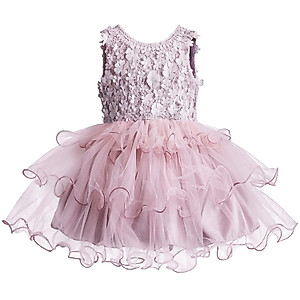HNXDYY Flower Girl Princess Dress Tutu Sleeveless Birthday Party Summer Baby Clothes 678 Pink 2-3 Years