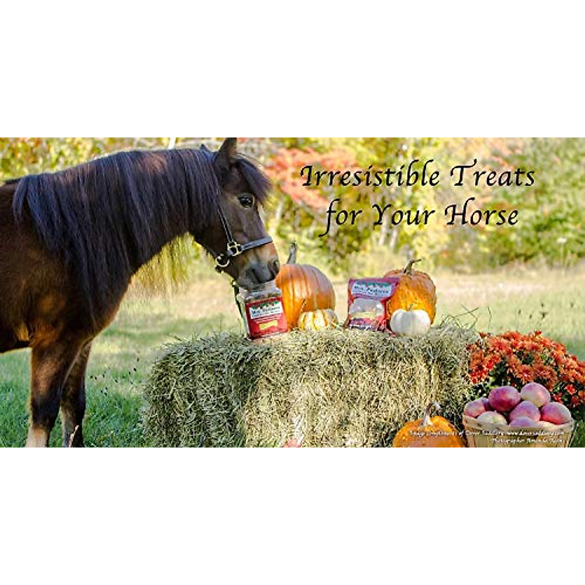 Mrs. Pastures Horse Cookies & Treats - Premium All Natural Treats (5 Pound Bag)