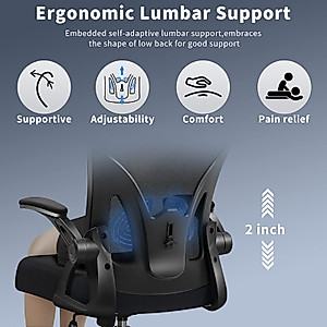 Darkecho Office Chair,Ergonomic Desk Chair with Adjustable Headrest and Lumbar Support,High Back Mesh Computer Chair with Padded Flip-up Armrests,Swivel Task Chair,Tilt Function,Black
