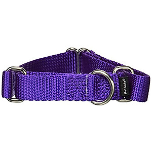 PetSafe Martingale Collar, 3/4" Small, Deep Purple