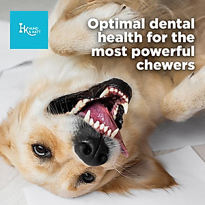 HK Hund & Katt Durable Natural Rubber Bone Chew Toy for Medium to Large Dogs, 6.7 inches, with Grooves, Nearly Indestructible