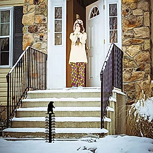 Gift 24cm Snowflake Snow Measuring Instrument Snowmobile Snow Measuring Instrument Metal Snow Measuring Ruler Outdoor Garden Ornament Waist Level Camera (Black, One Size)