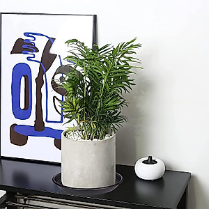 SAUCERHOME 5 Packs Plant Saucer 6 8 10 12 14 16 19 22 26 Inch Plastic Pot Tray Flower Planter Saucers and Drip Trays for Indoors Outdoors, Thick Heavy Sturdy Plant Plate Water Catcher (6 Inch Black)