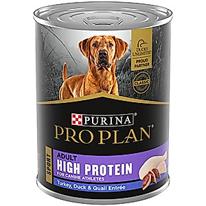 Purina Pro Plan Sport High Protein Dog Food Turkey, Duck and Quail Entree Wet Dog Food - (Pack of 12) 13 Oz. Cans