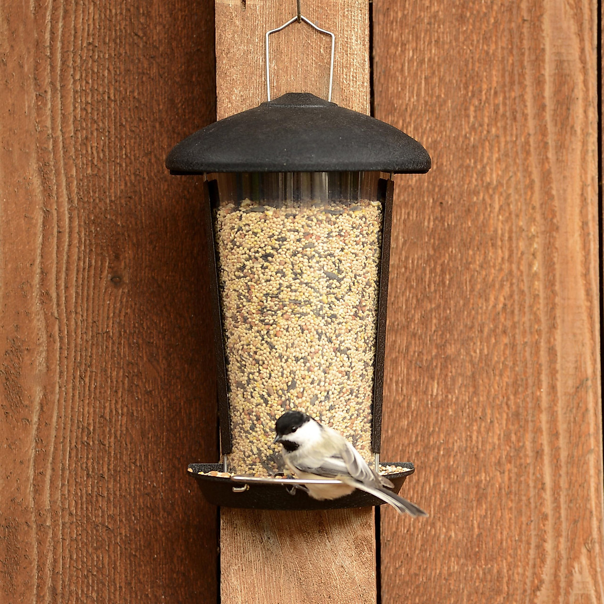 Perky-Pet 101-5 Wall and Post Mount Wild Bird Feeder